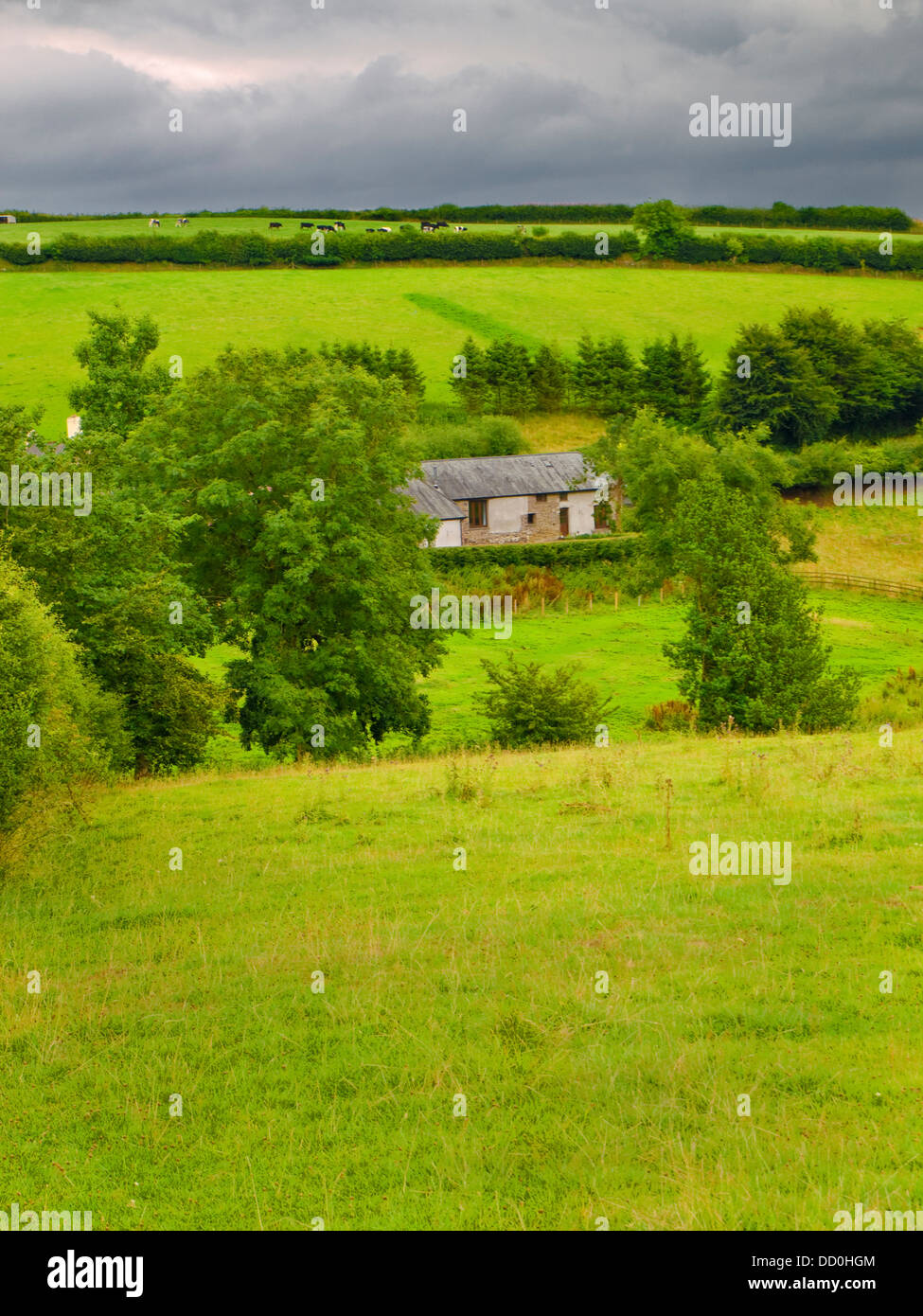 Molland devon hi-res stock photography and images - Alamy