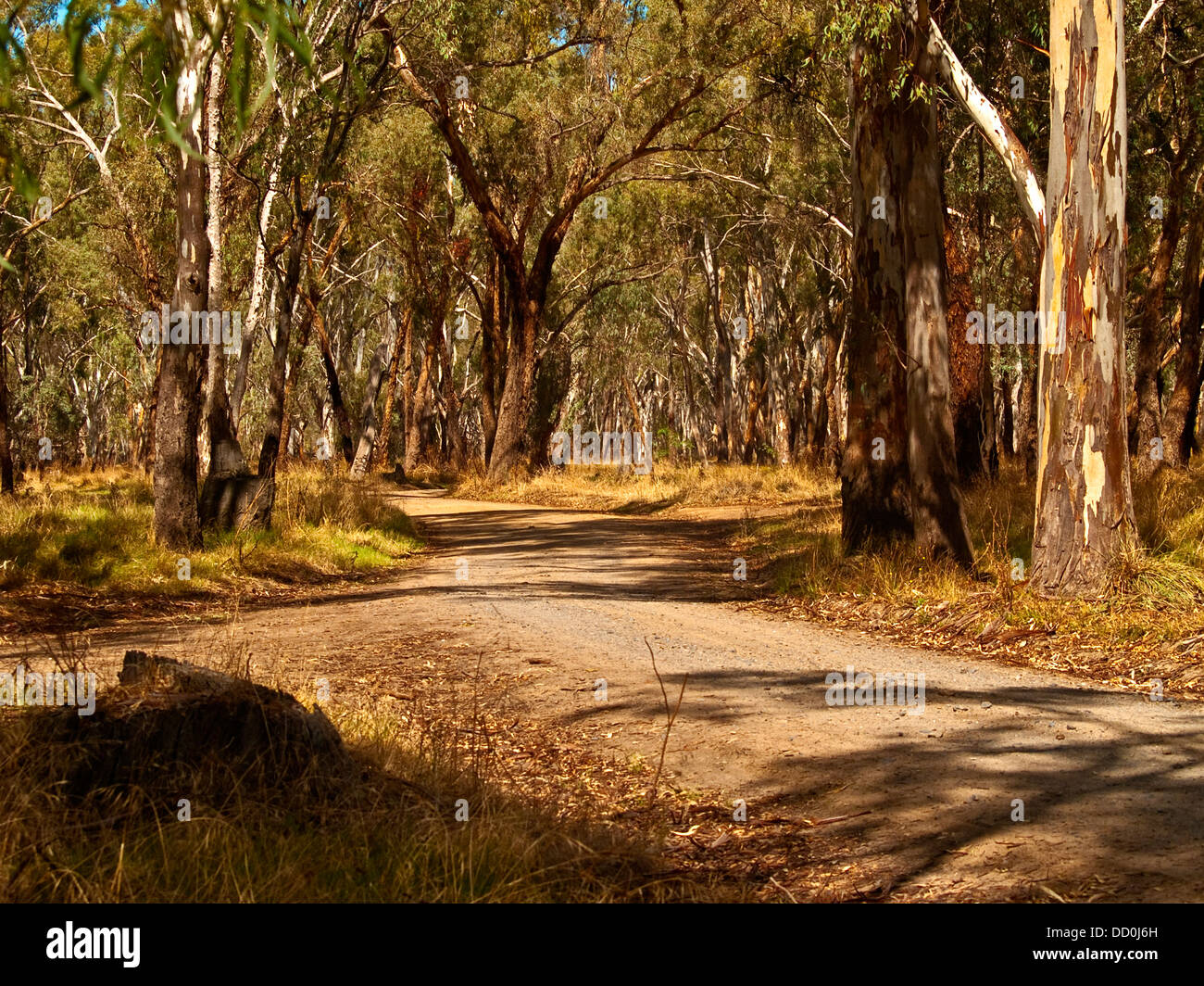 Victoria bush hi-res stock photography and images - Alamy