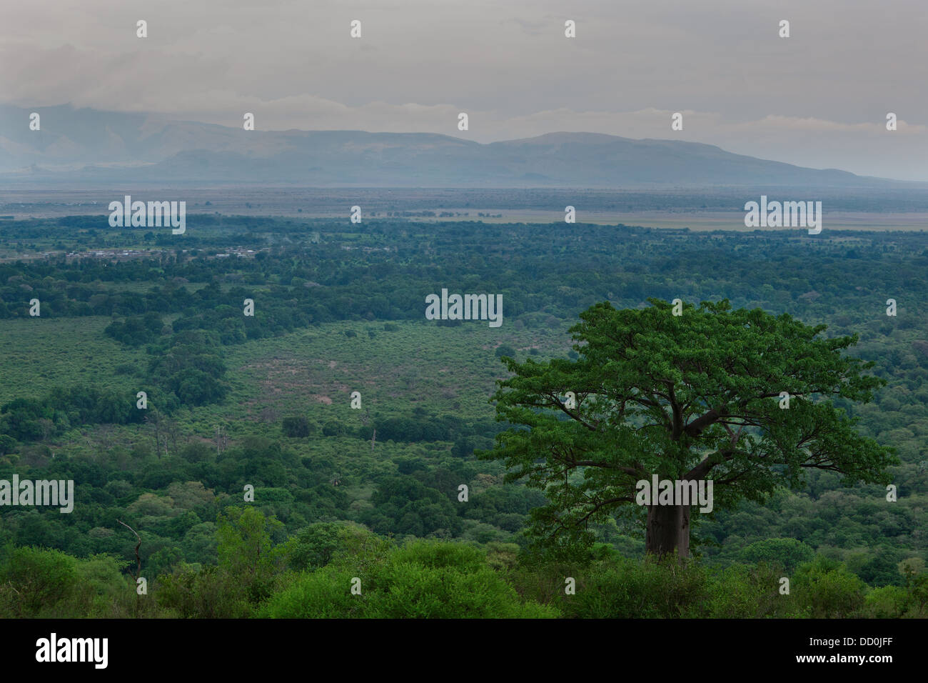 Tanzania great rift valley hi-res stock photography and images - Alamy