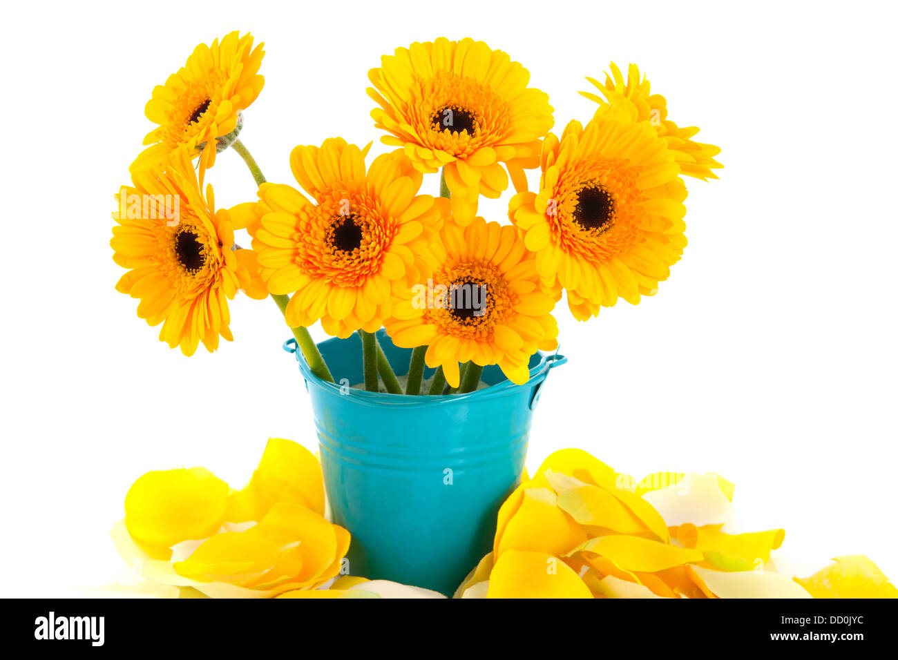 Yellow and blue Stock Photo - Alamy