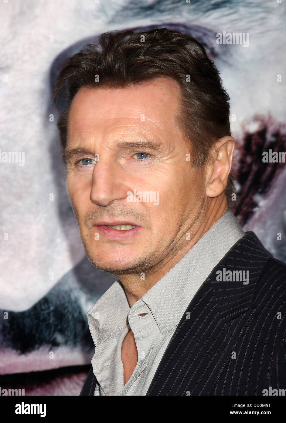 Liam neeson the grey hi-res stock photography and images - Alamy
