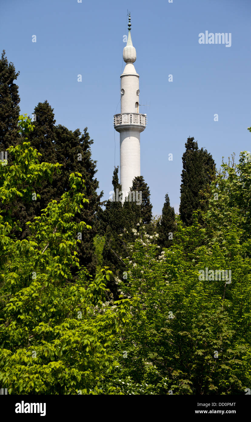 A mosque Minaret among trees in Istanbul, Turkey Stock Photo - Alamy
