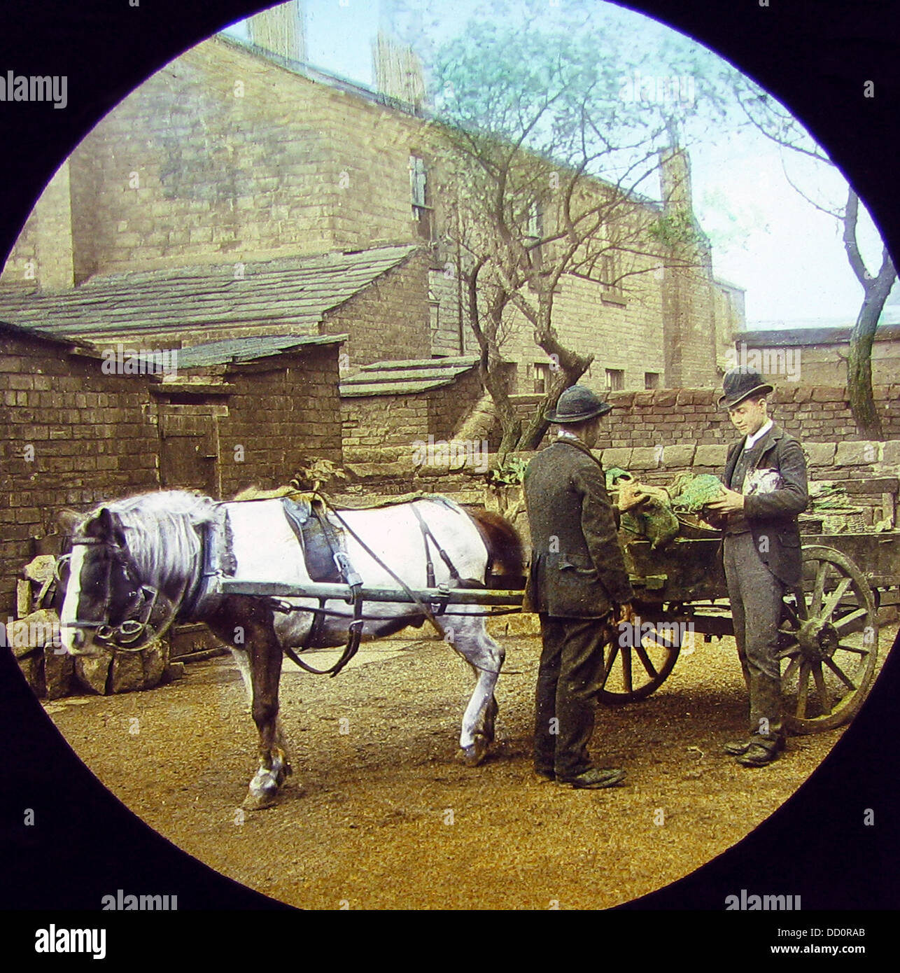 Old hawker hi-res stock photography and images - Alamy