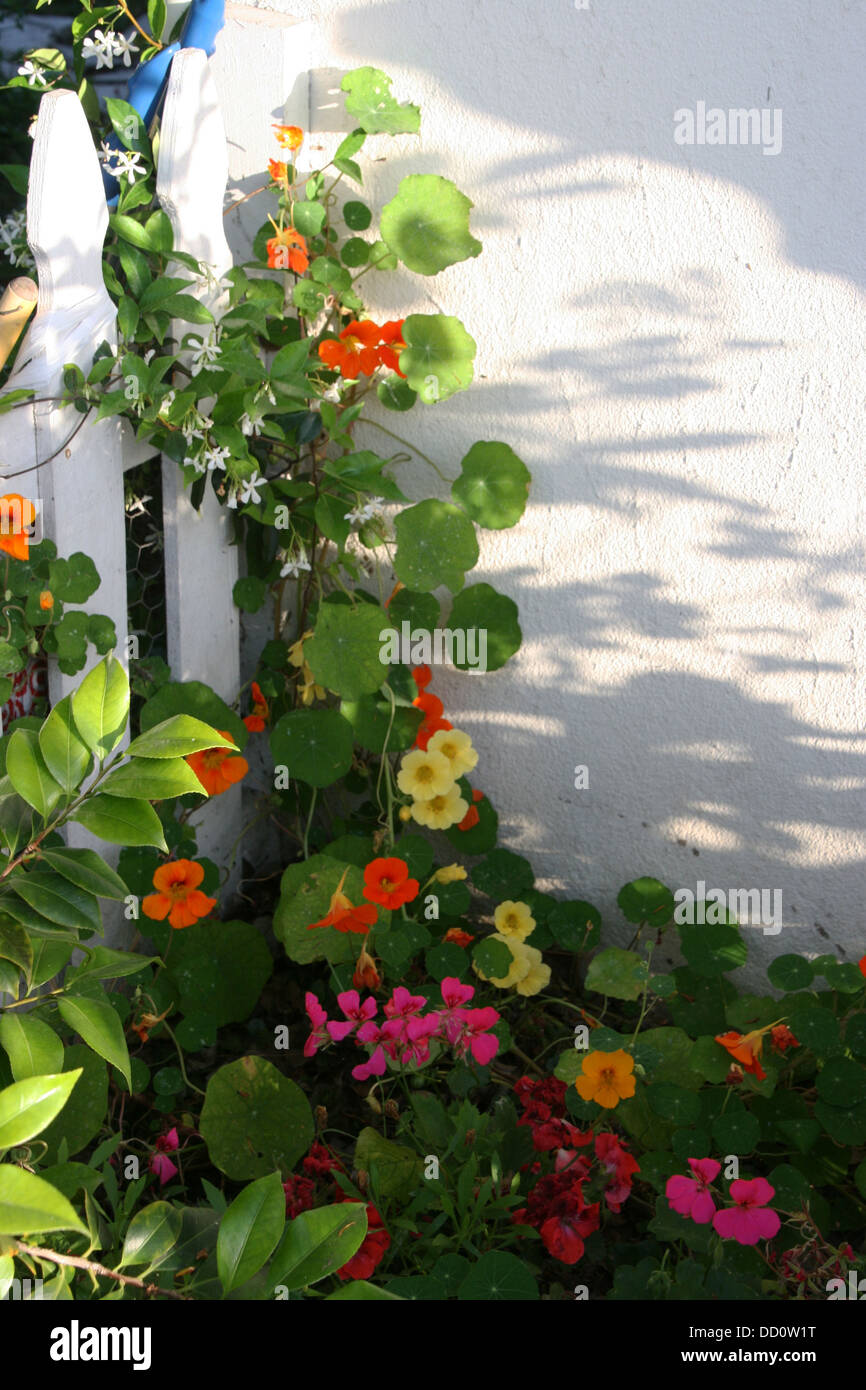 Profusion of colors hi-res stock photography and images - Alamy