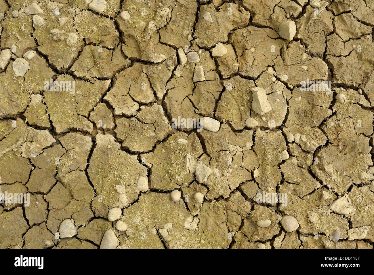 River bed with Dry and cracked mud depicting drought situation Stock ...