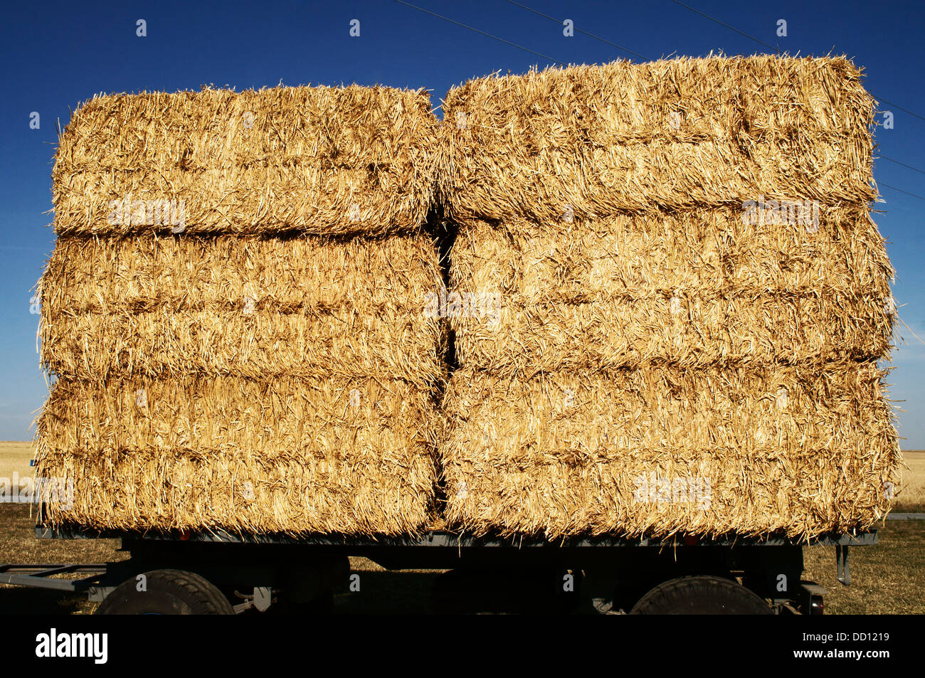 Biomass chp hi-res stock photography and images - Alamy