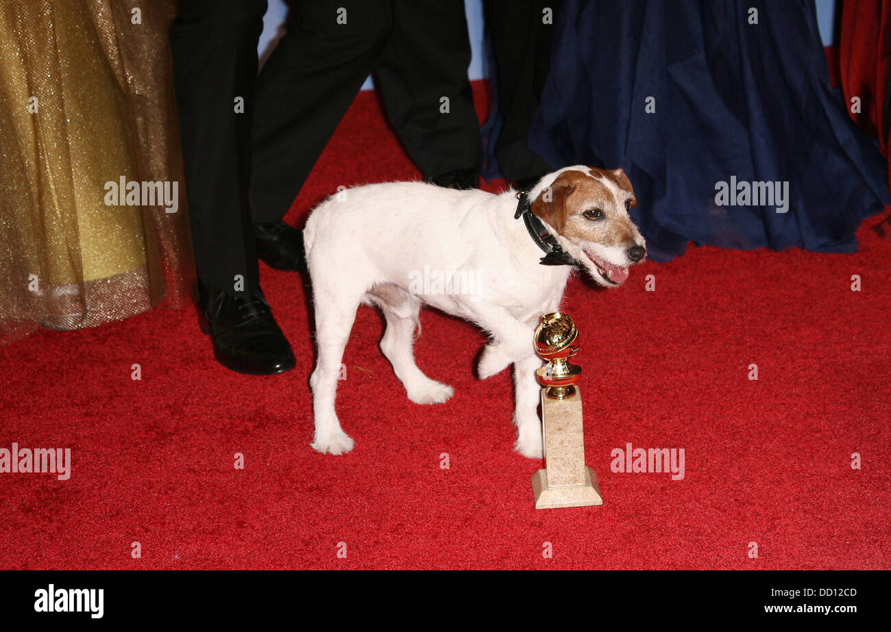 Uggie the Dog The 69th Annual Golden Globe Awards (Golden Globes 2012 ...