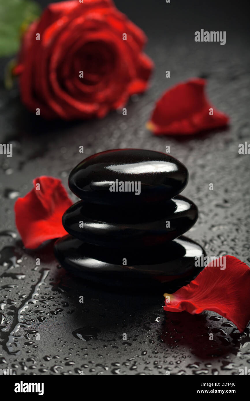 Zen rose petals over black hi-res stock photography and images - Alamy
