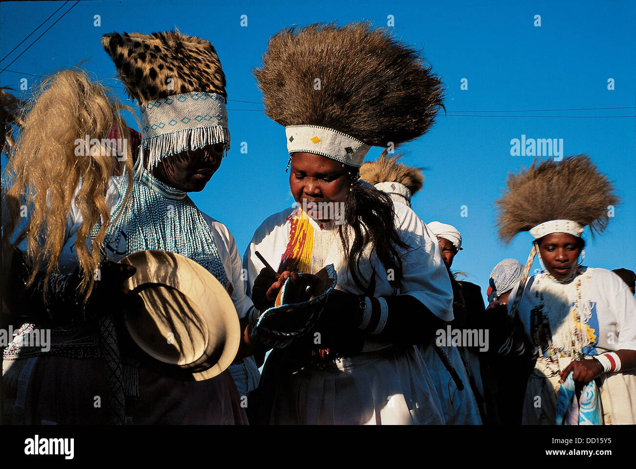 Nokhawuleza hi-res stock photography and images - Alamy