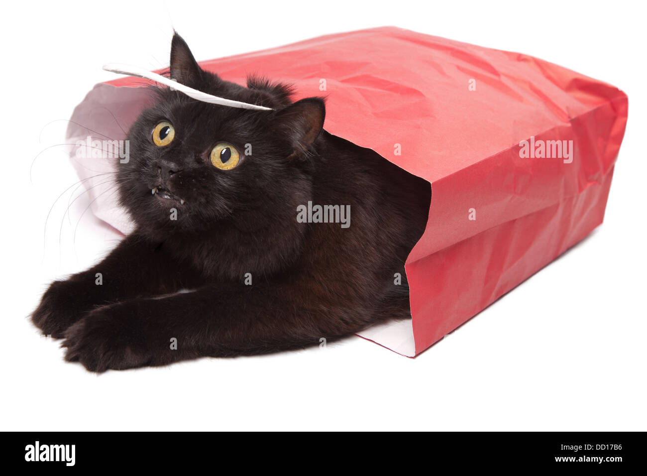 Cat in bag Cut Out Stock Images & Pictures - Alamy
