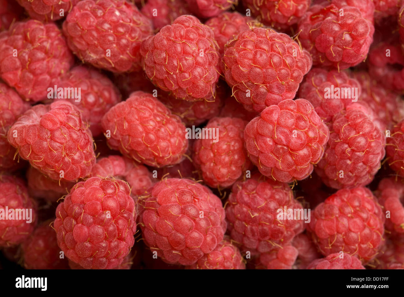 fresh raspberries background Stock Photo - Alamy
