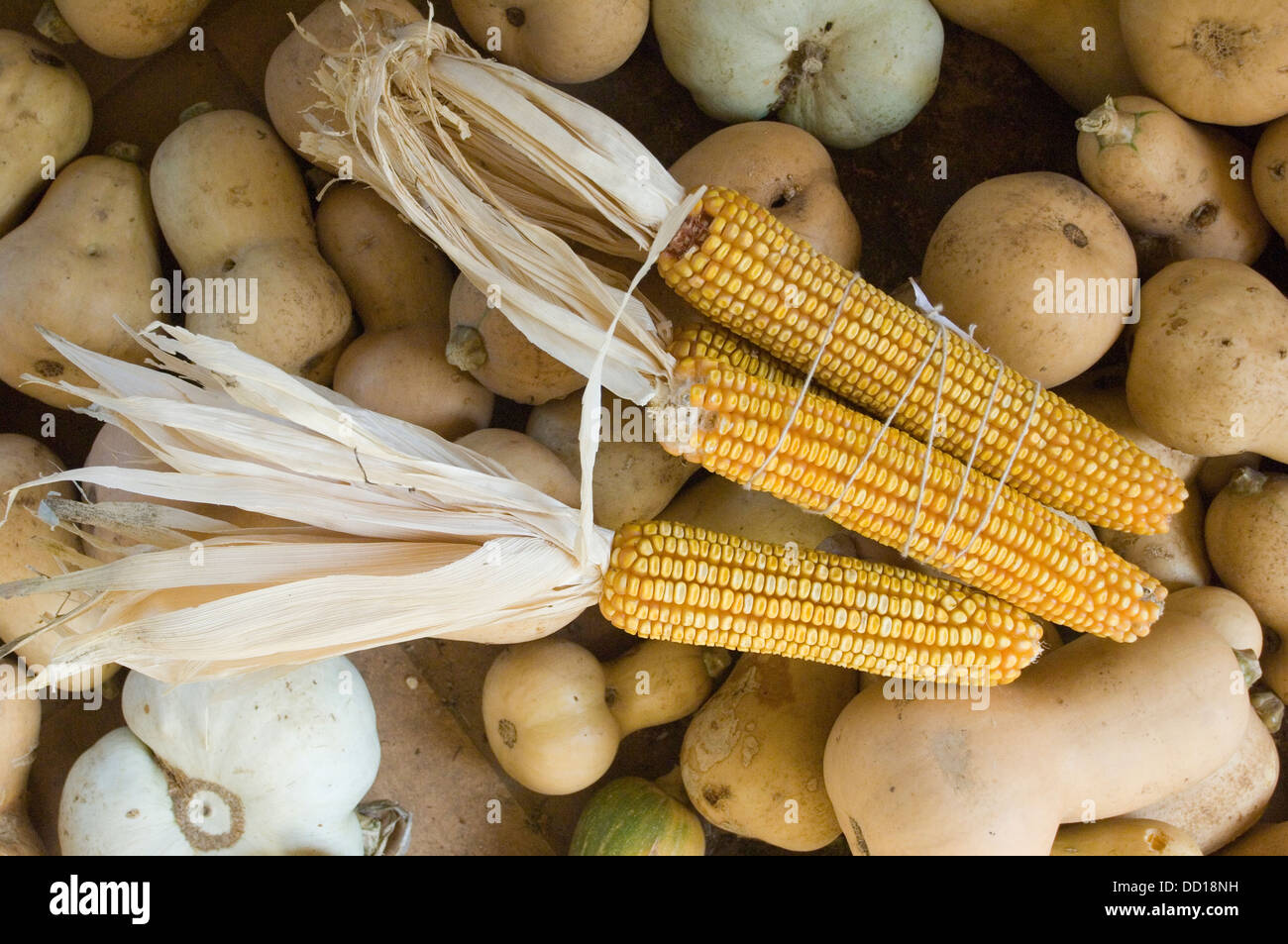 Independent Development Trust - Eastern Cape Stock Photo - Alamy