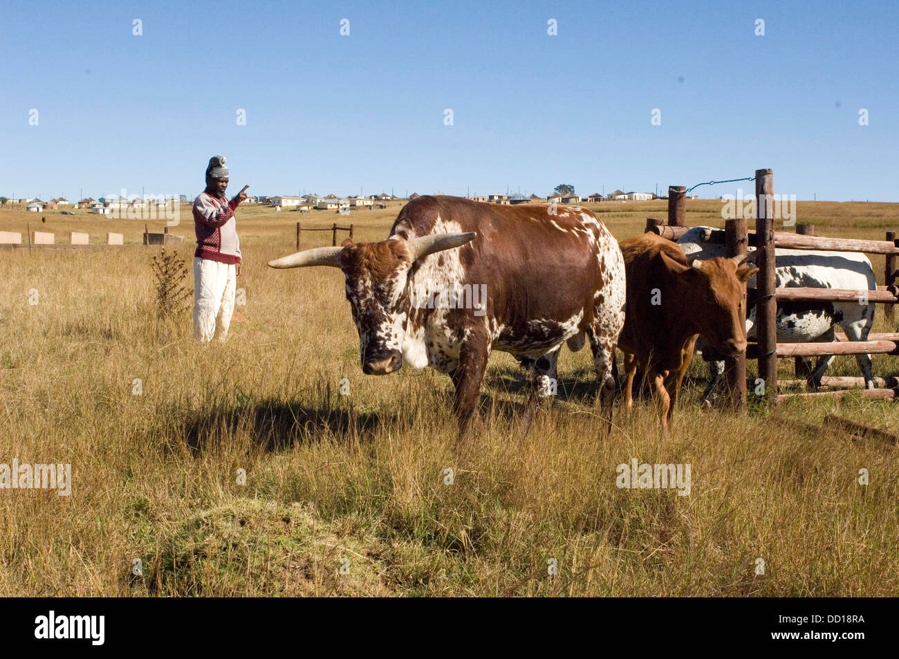 Independent Development Trust - Eastern Cape Stock Photo - Alamy