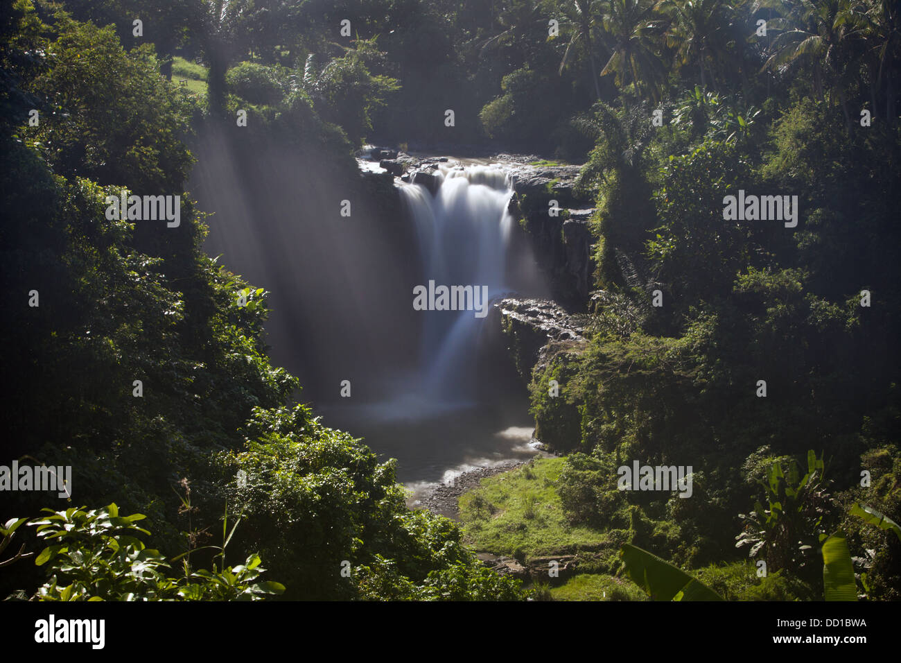 Scenes of Bali, Indonesia Stock Photo - Alamy