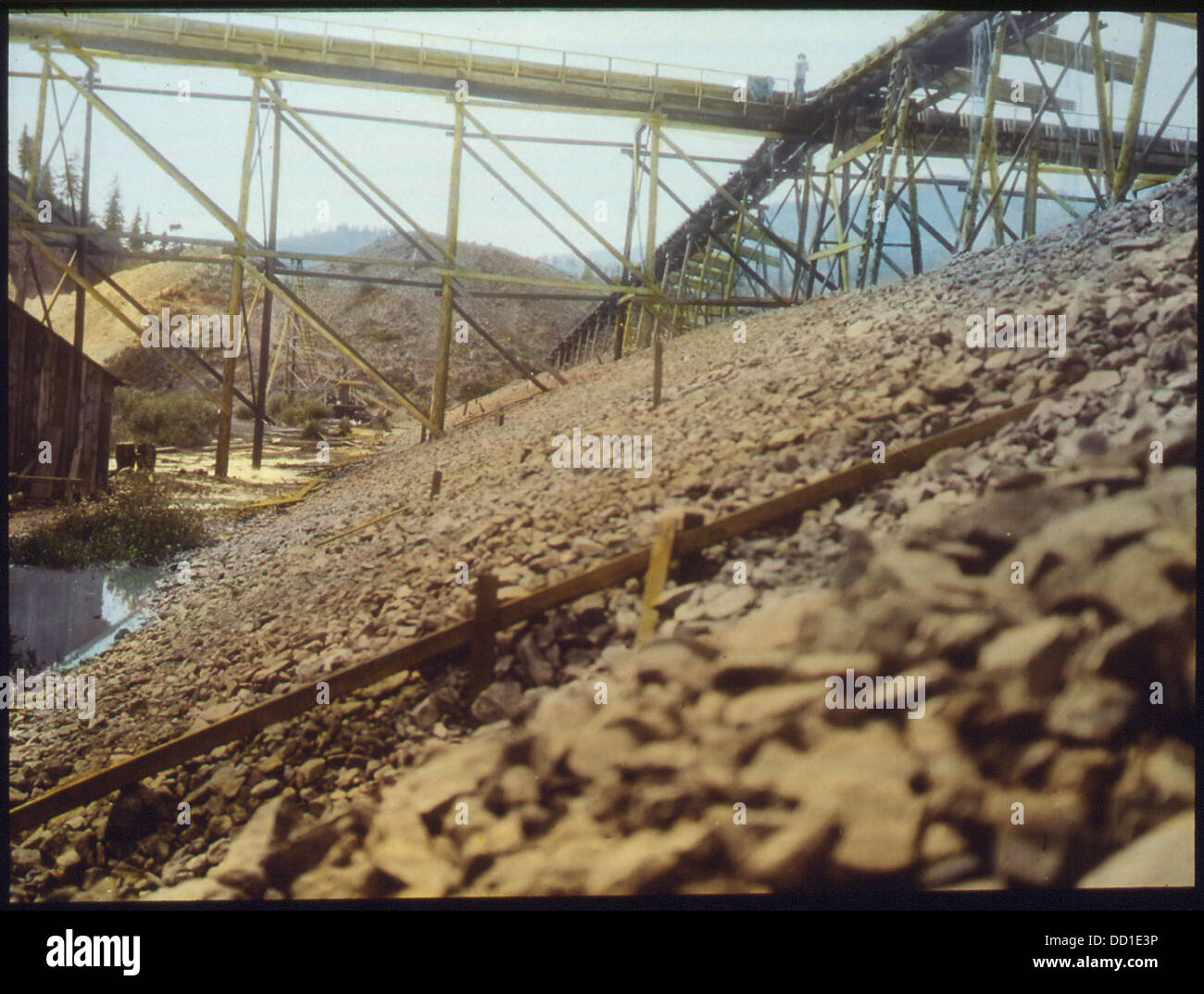 This image captures the construction of trestles as part of the ...