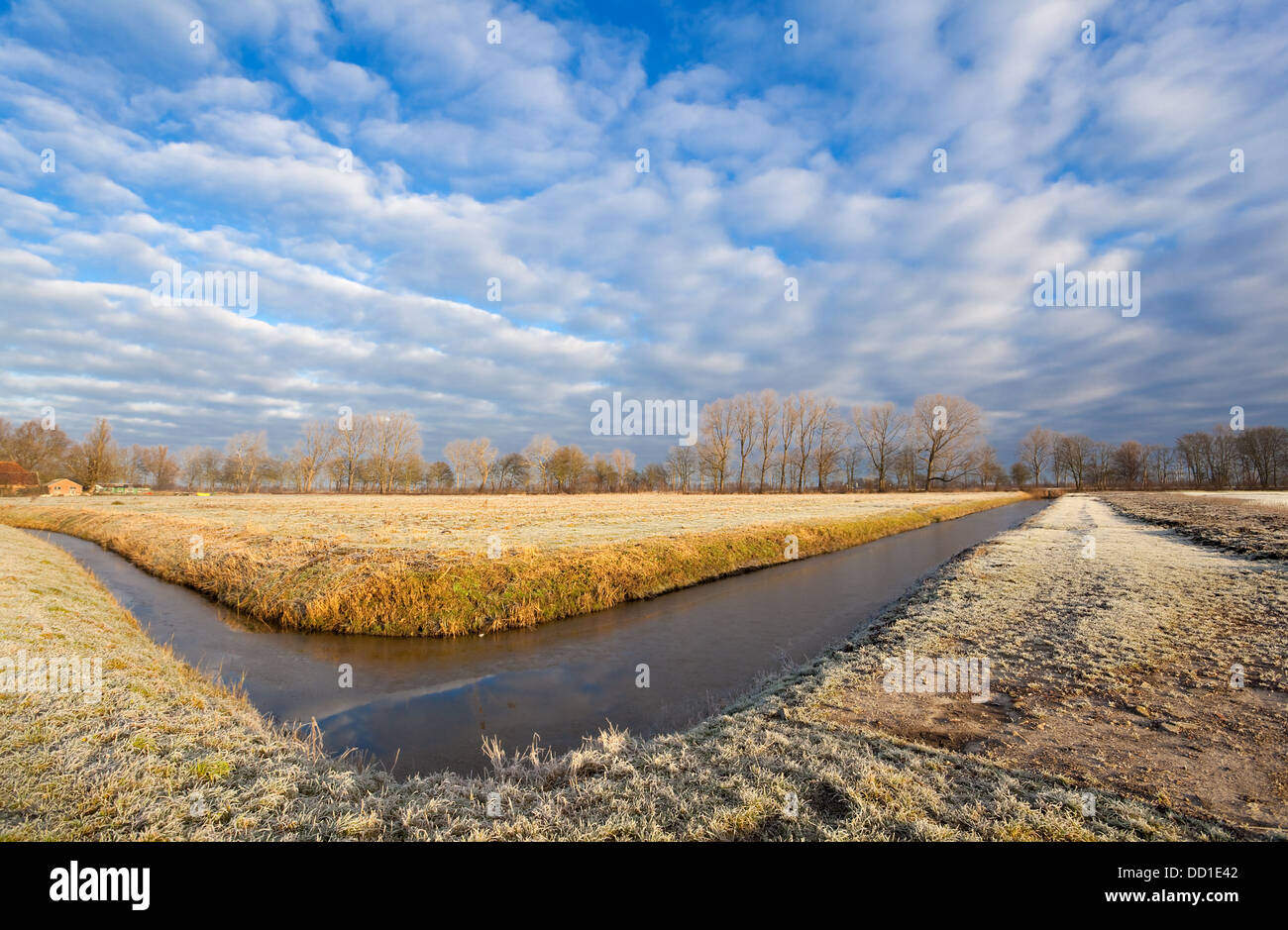 typical Dutch landscape Stock Photo - Alamy