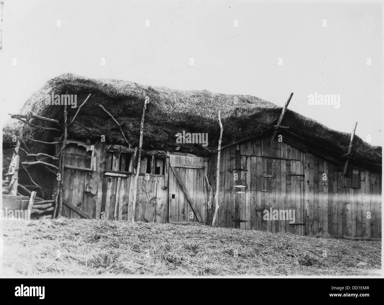An old wooden barn with a sod roof, showcasing traditional building ...