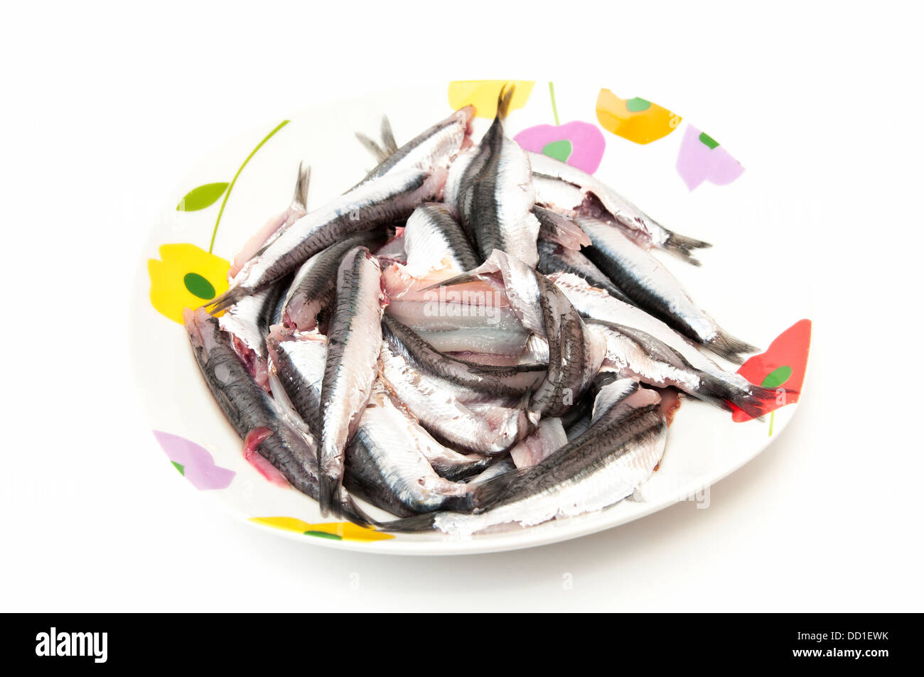 sardines on a white background Stock Photo - Alamy