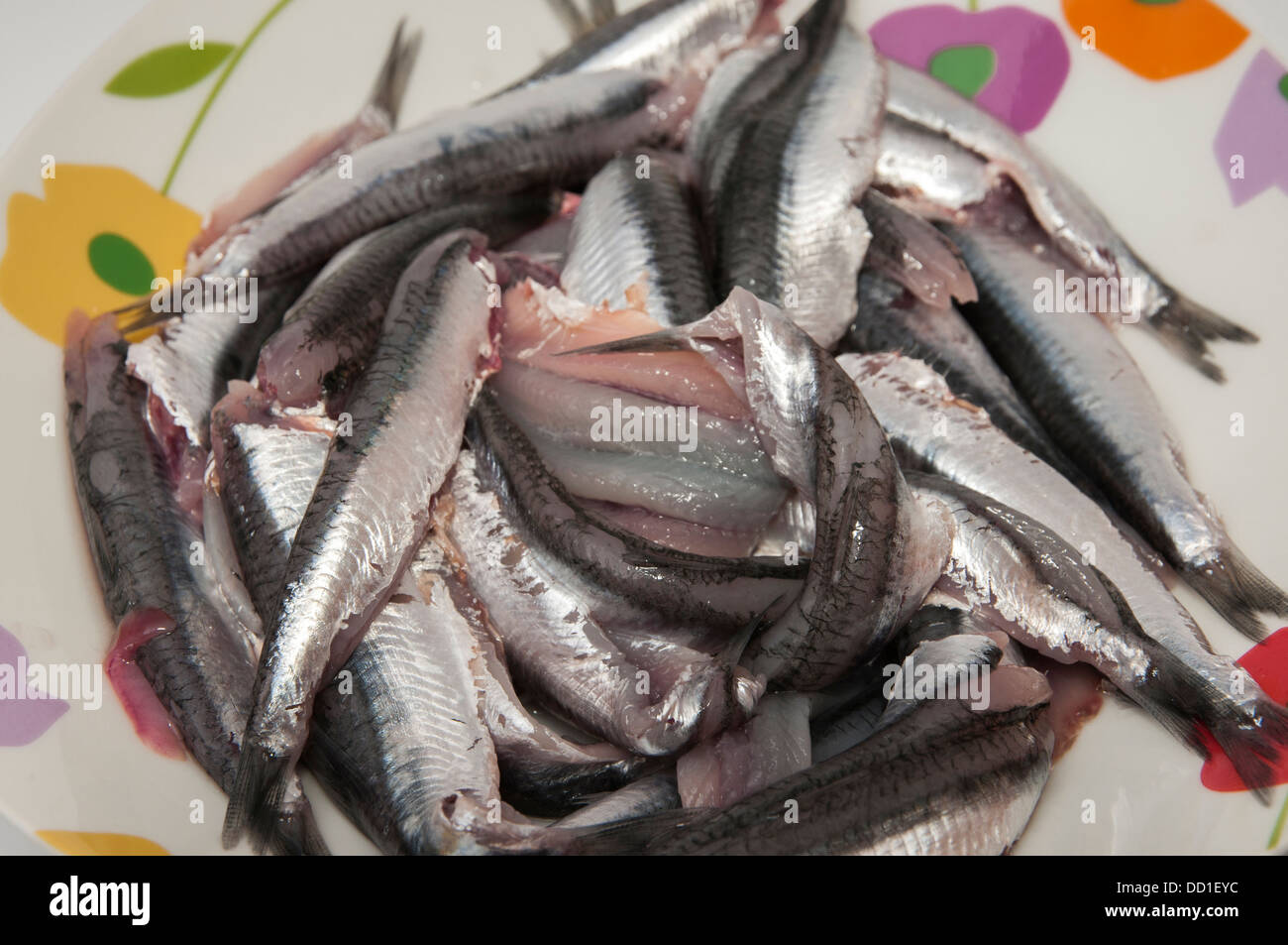 sardines on a white background Stock Photo - Alamy