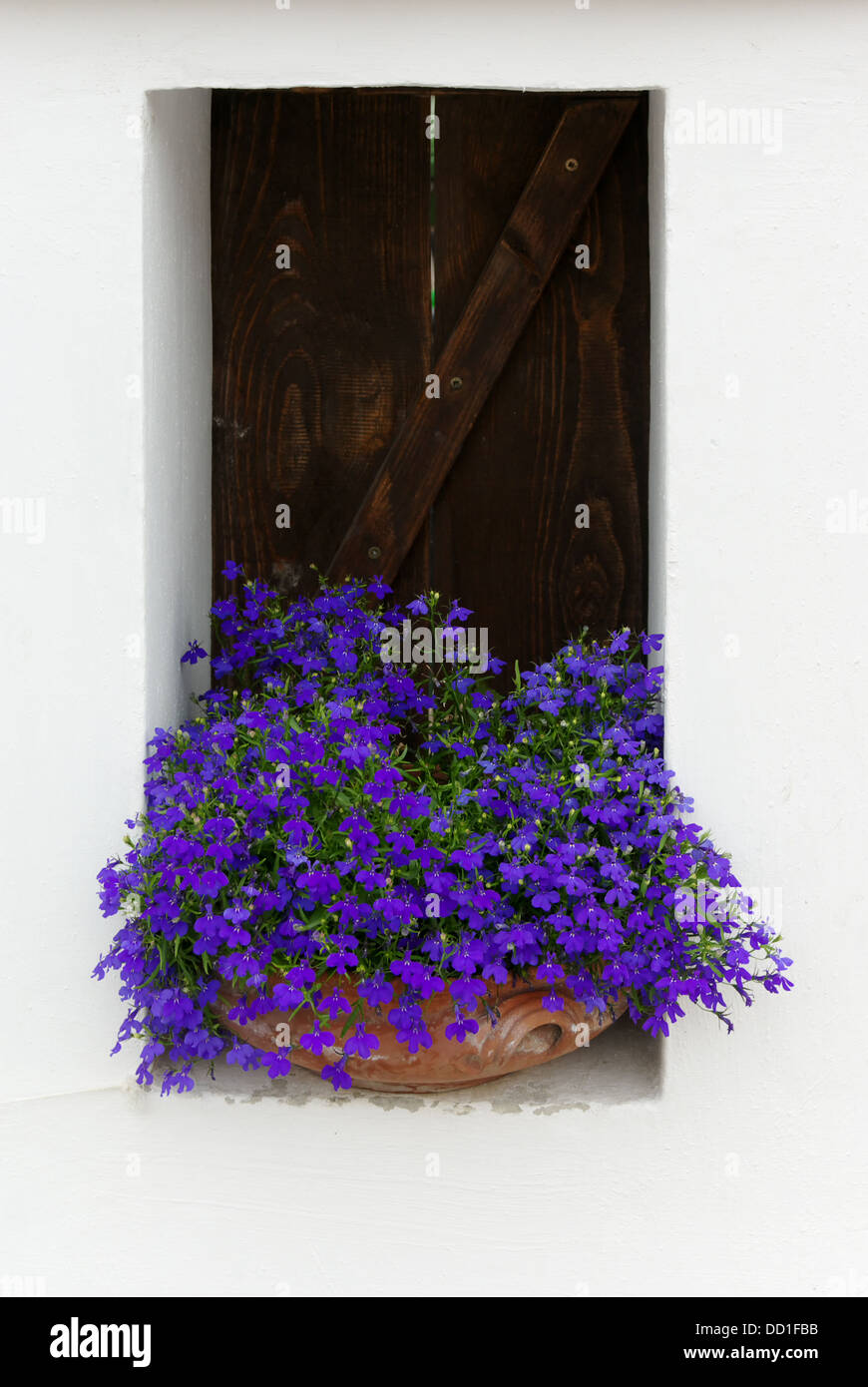 Flower pot window hi-res stock photography and images - Alamy