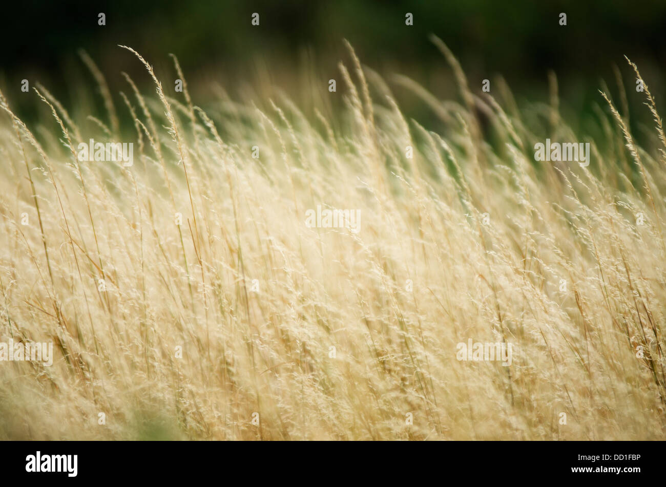 Nobody absence rural hi-res stock photography and images - Alamy