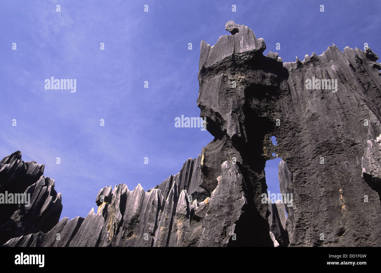 Shi lin stone forest hi-res stock photography and images - Alamy