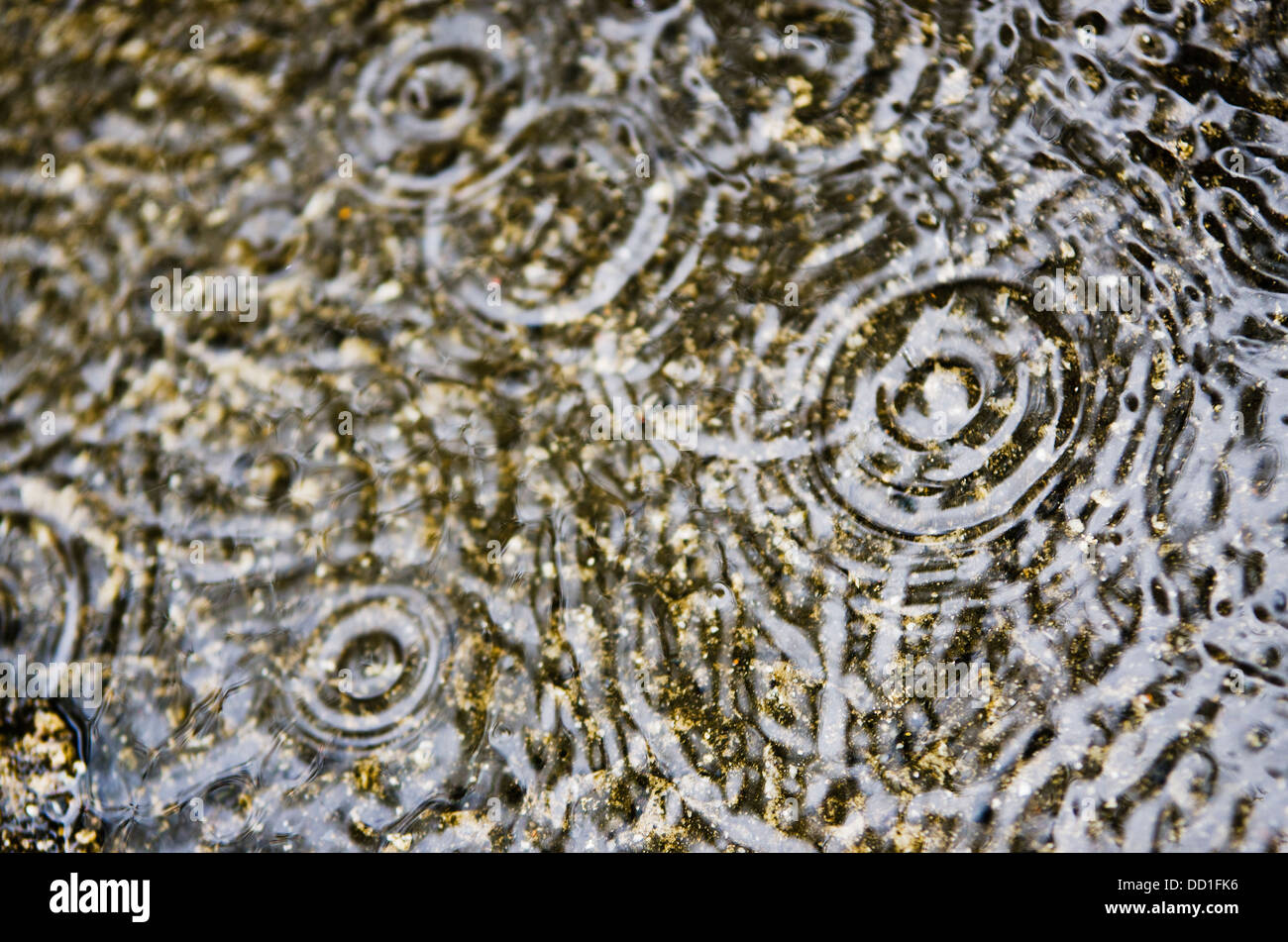 Concentric rings of ripples caused by rain falling in a puddle Stock ...