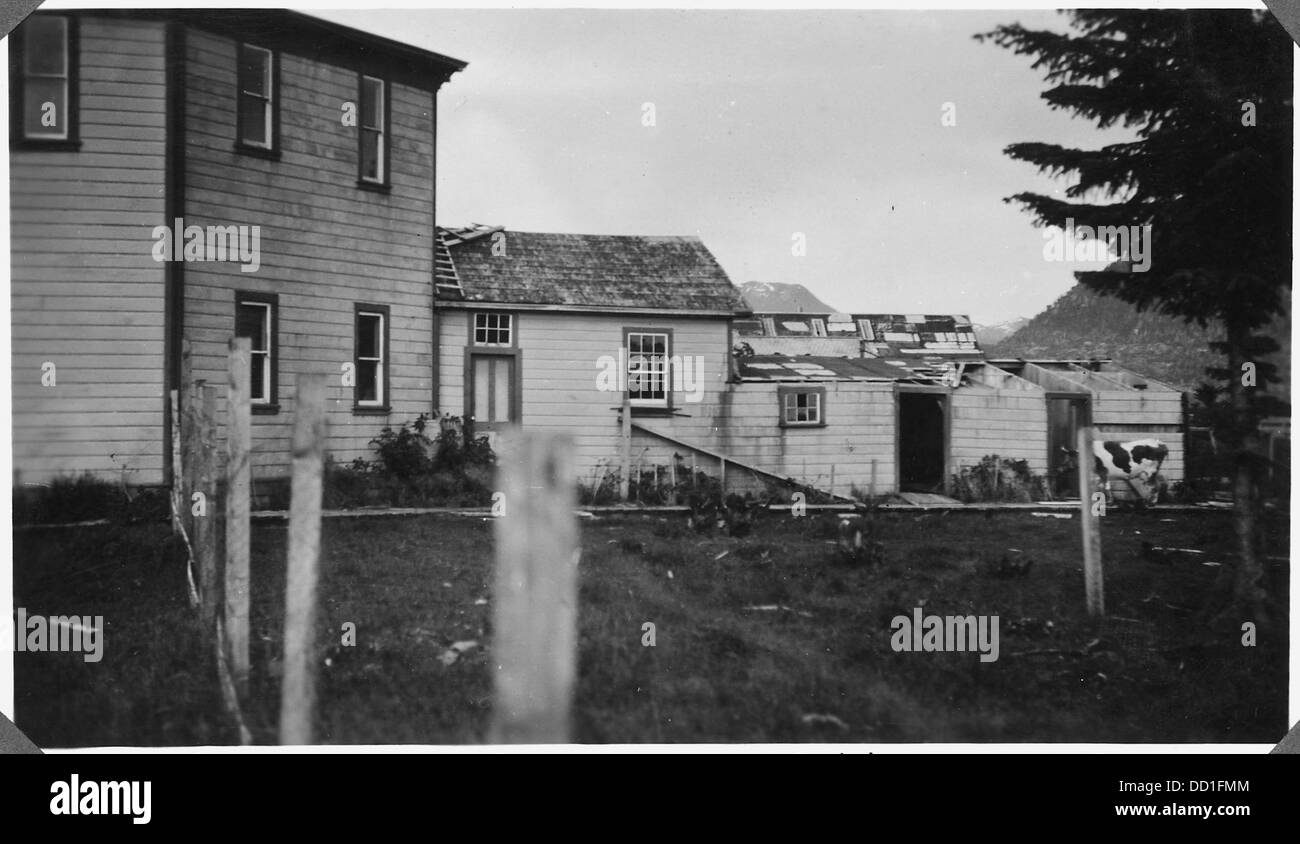 Gone with the wing hi-res stock photography and images - Alamy