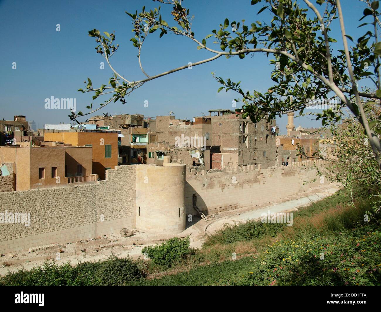 Fatimi hi-res stock photography and images - Alamy