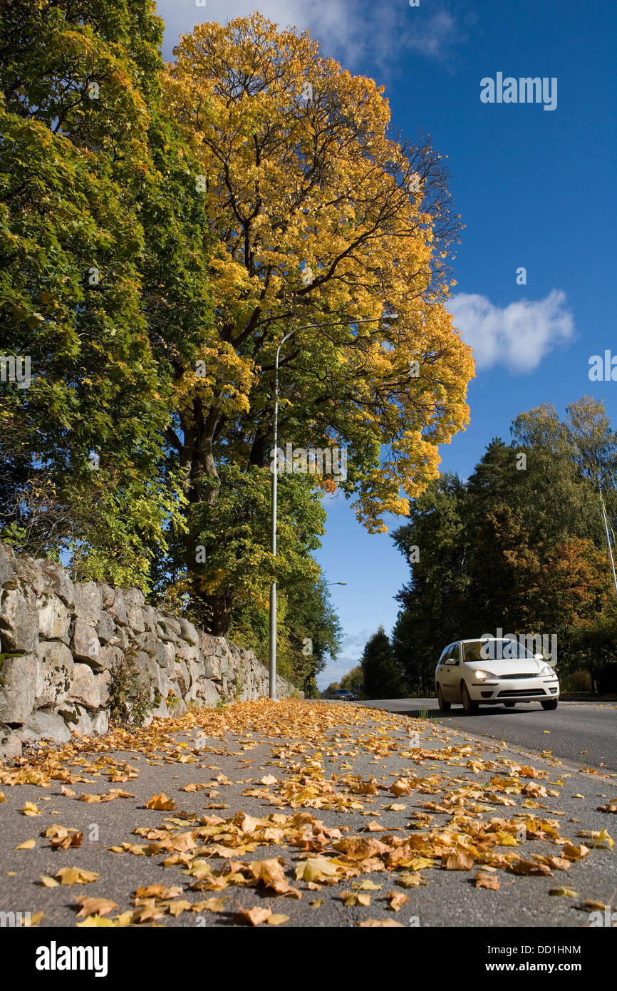 Car in Autumn Stock Photo - Alamy