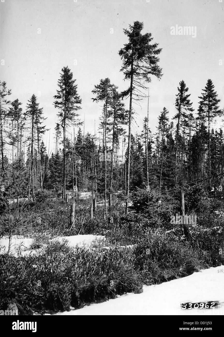 Restocking High Resolution Stock Photography and Images - Alamy