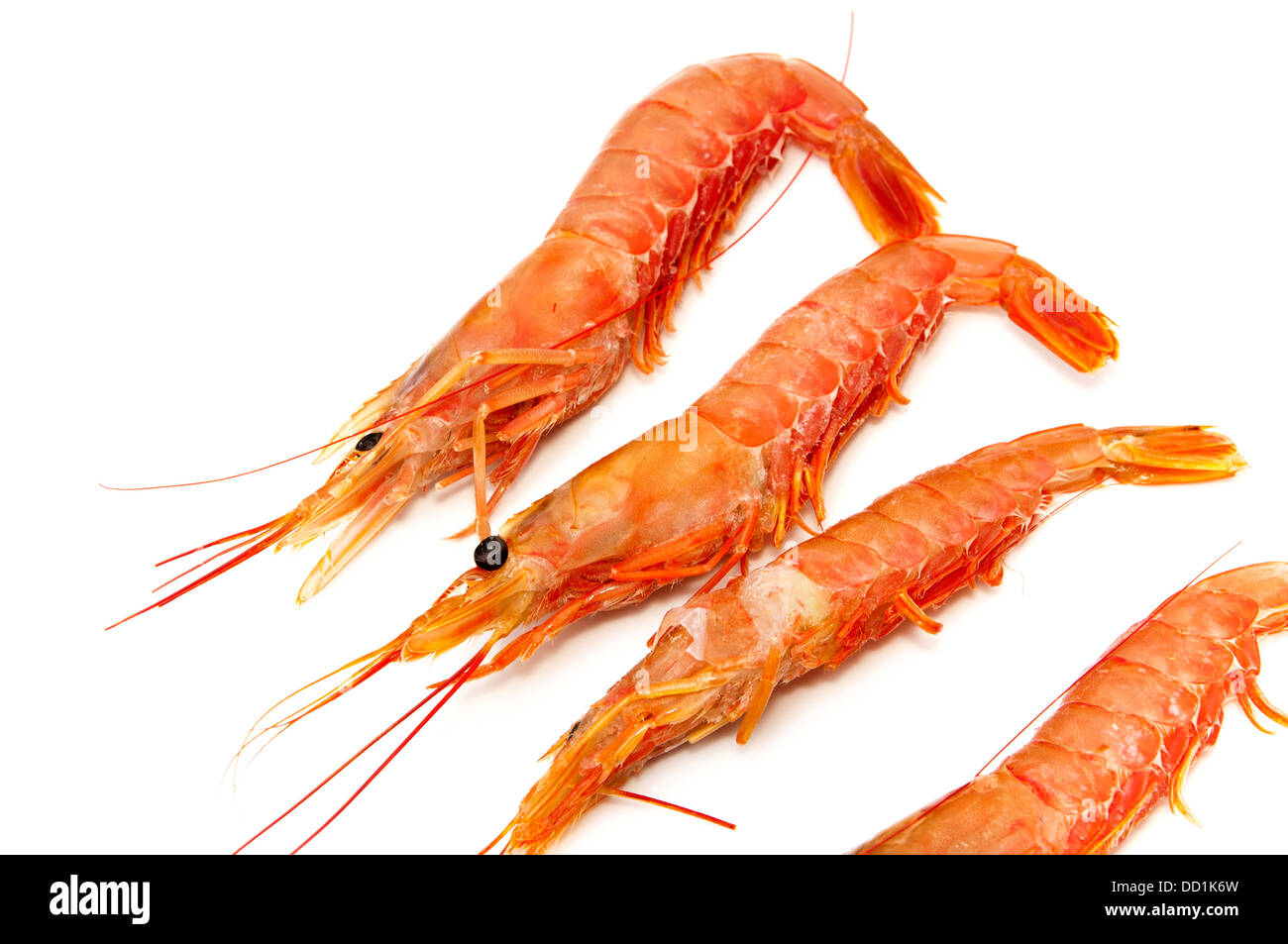 raw prawns on a white background Stock Photo - Alamy
