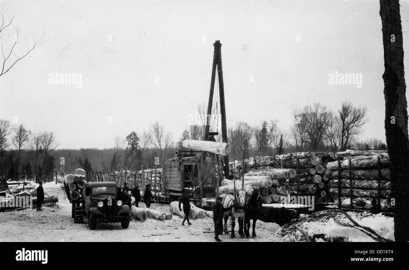 A gasoline-powered jammer is used to load logs onto a car ...