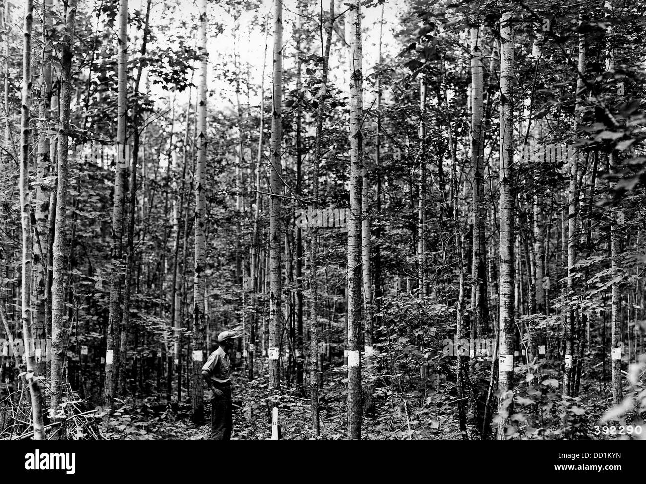 The Aspen Management Cycle is a concept in business strategy that ...