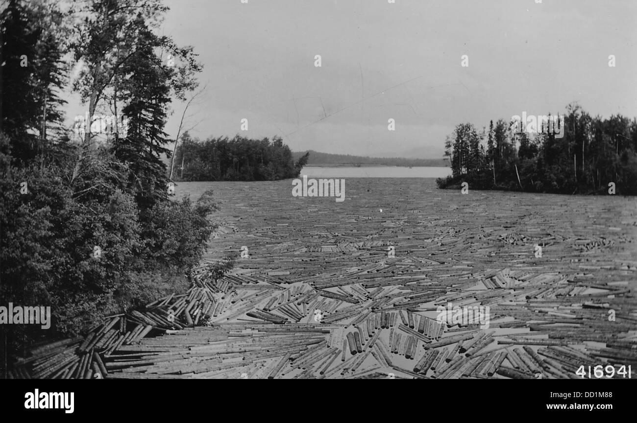 Pulpwood hi-res stock photography and images - Alamy