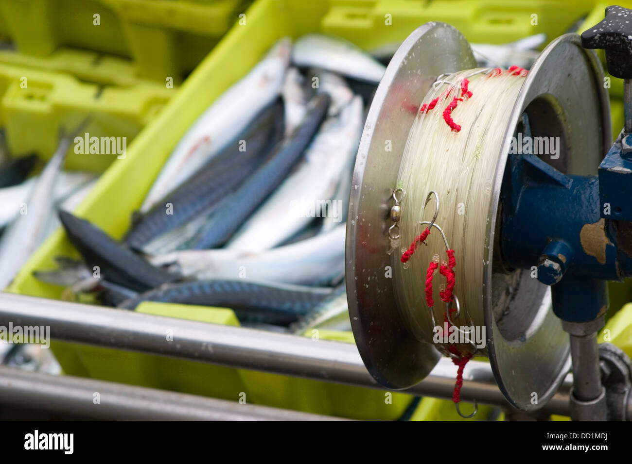 Travel fish farming spain hi-res stock photography and images - Alamy