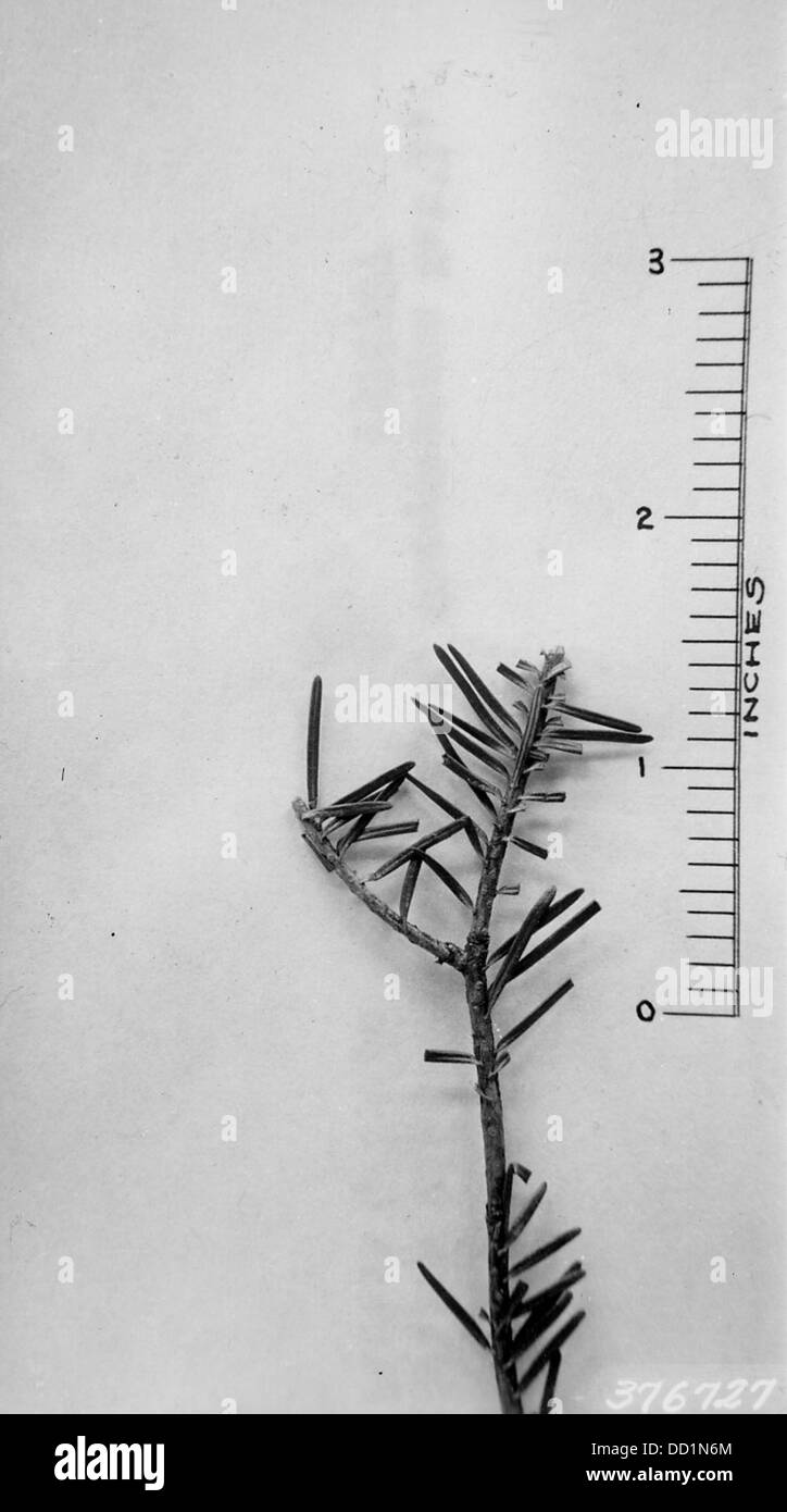 Browsed Black and White Stock Photos & Images - Alamy