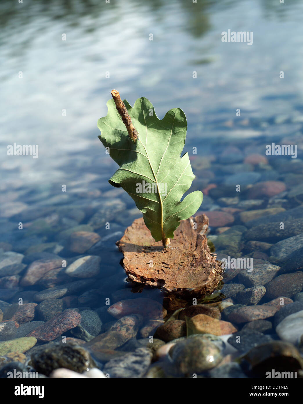 Bark boat toy hi-res stock photography and images - Alamy
