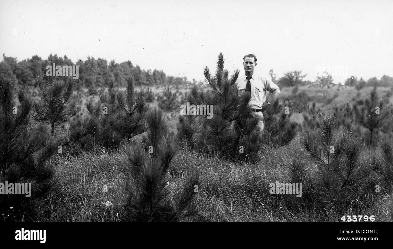 Soil deep Black and White Stock Photos & Images - Alamy
