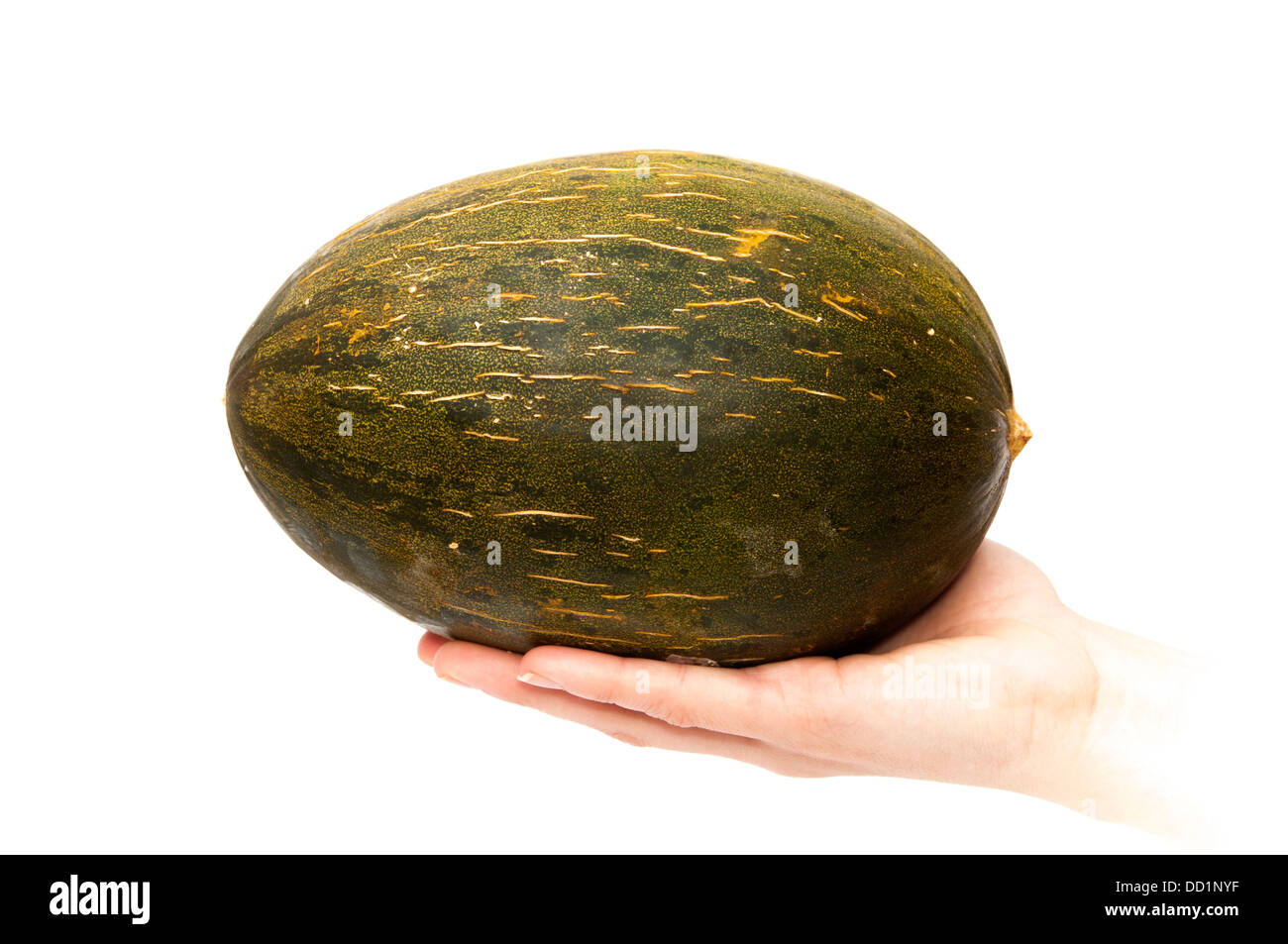 Melon seed hand Cut Out Stock Images & Pictures - Alamy