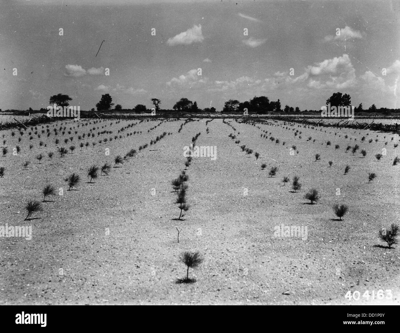 The Big Prairie Experimental Block, located in a designated research ...