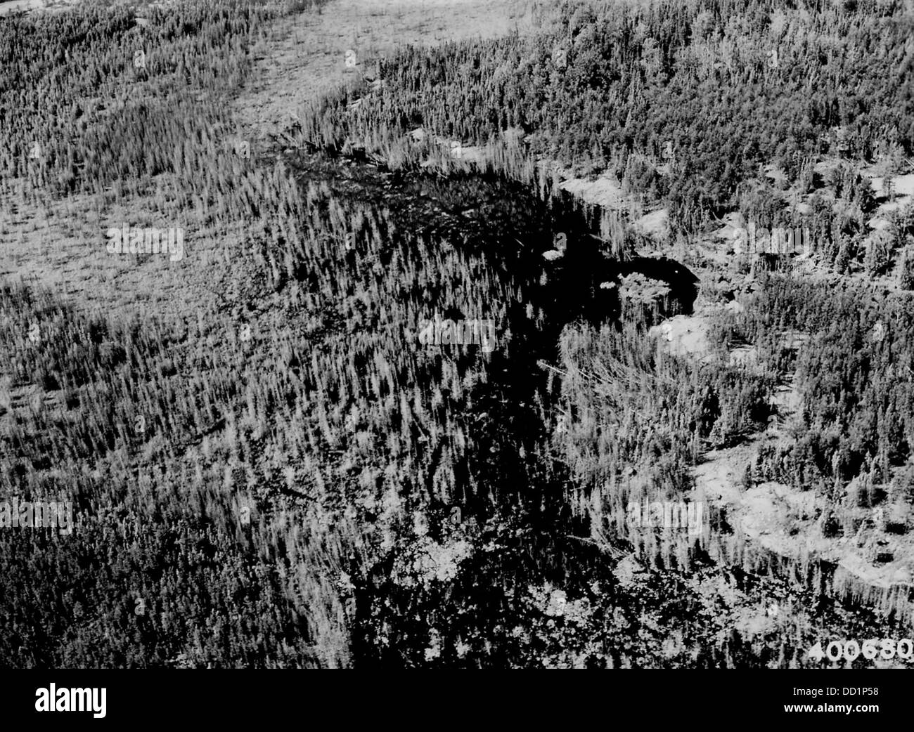 A beaver pond in a natural setting, showcasing the habitat created by ...