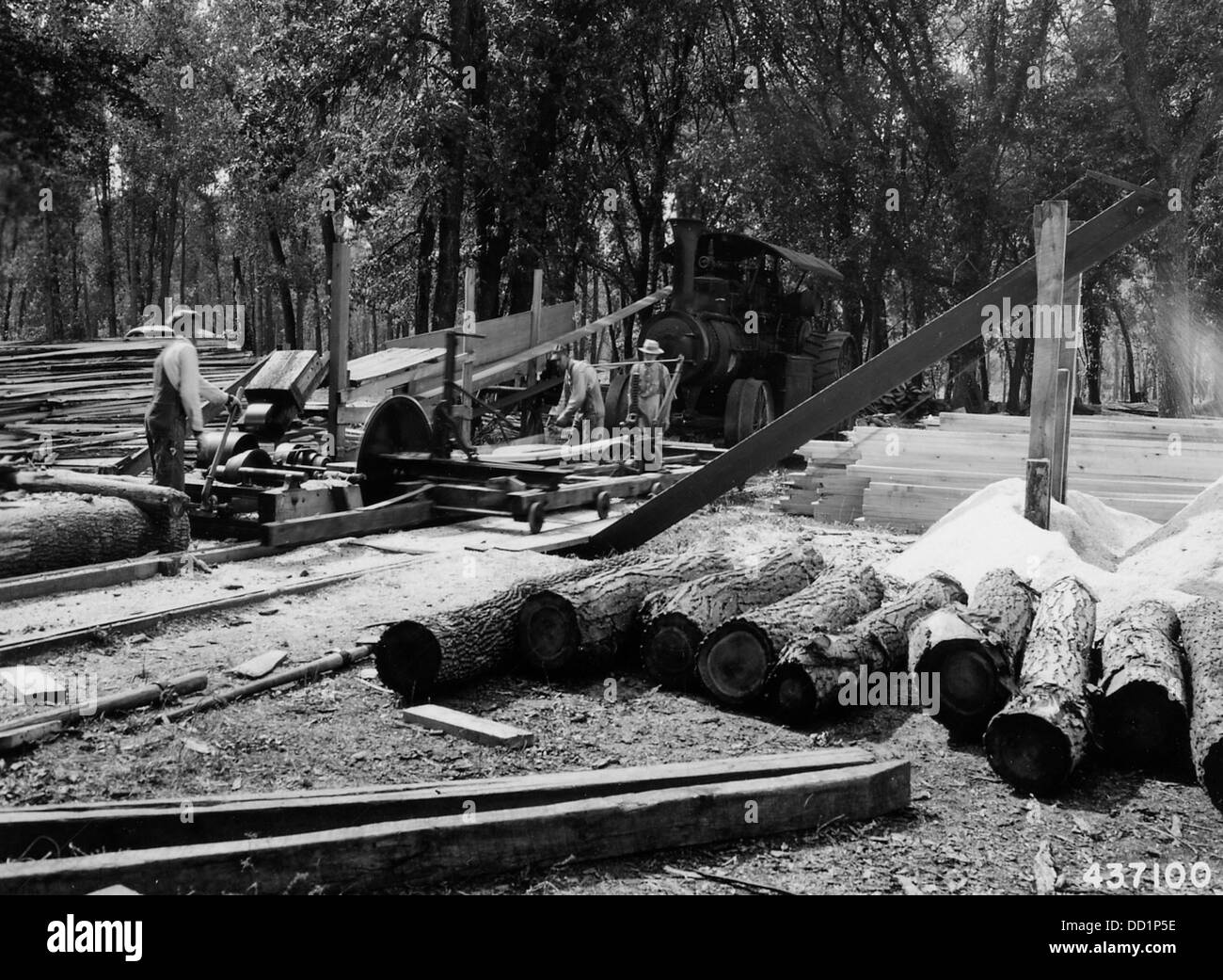 Sawmill operation hi-res stock photography and images - Alamy