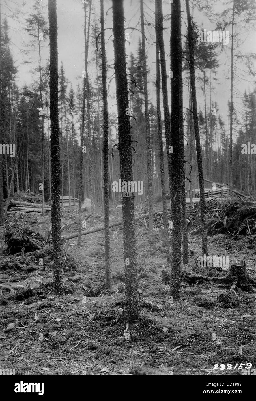 Forestry purposes Black and White Stock Photos & Images - Alamy