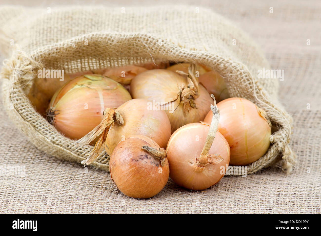 Onion sack hi-res stock photography and images - Alamy