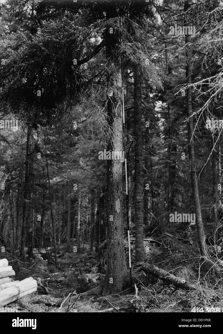 Structure black Black and White Stock Photos & Images - Alamy