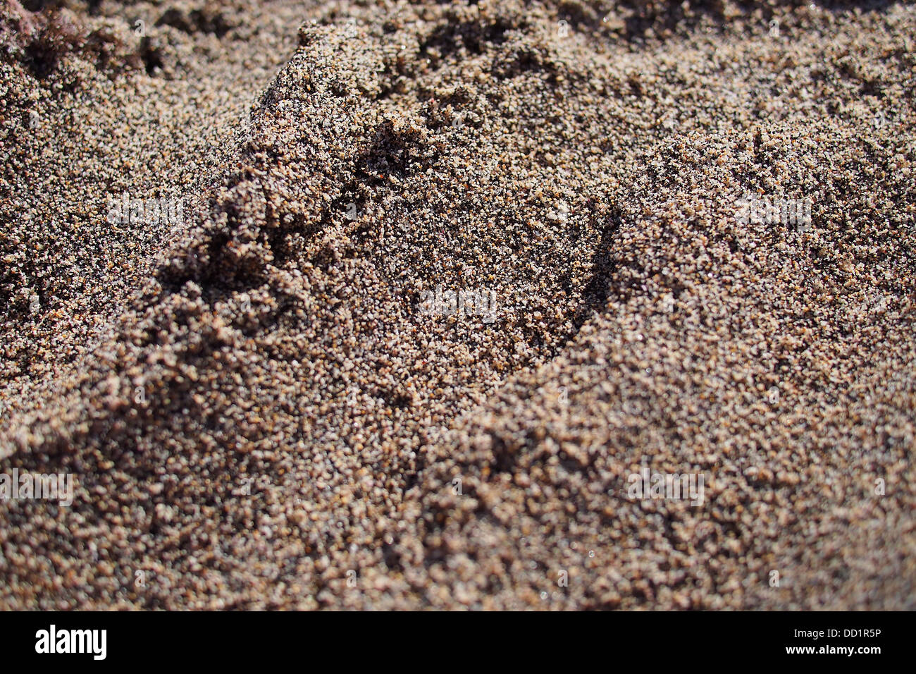 Wet sand great as background Stock Photo - Alamy