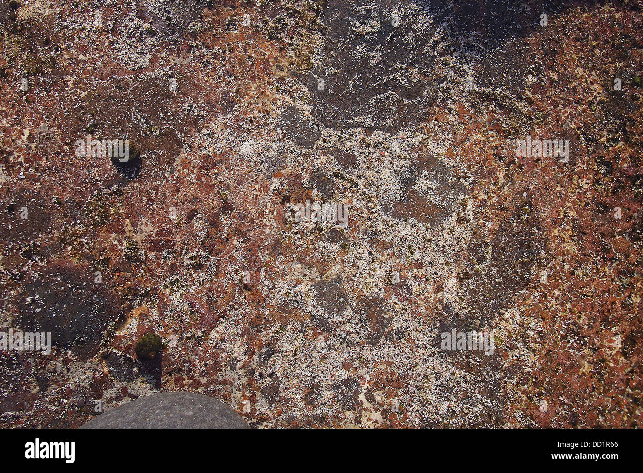 Closeup image of dry sand on rock Stock Photo - Alamy