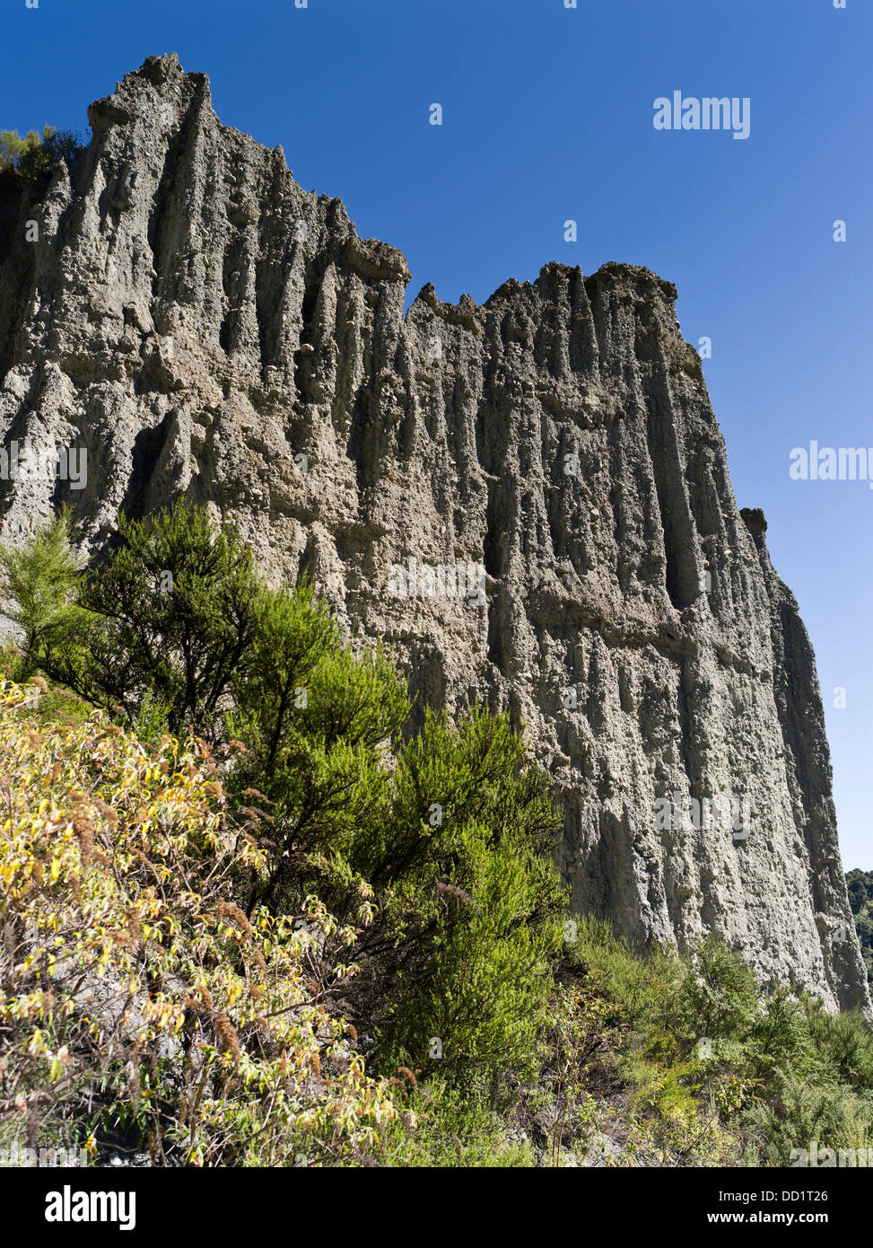 dh Putangirua Pinnacles WAIRARAPA NEW ZEALAND Geological rock formation ...