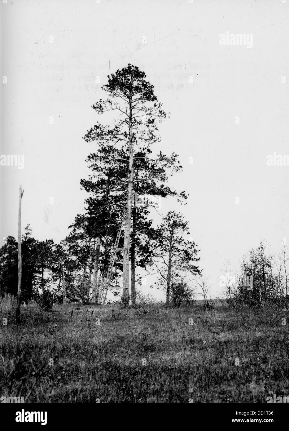 Cass Lake is a large lake located in northern Minnesota, offering ...